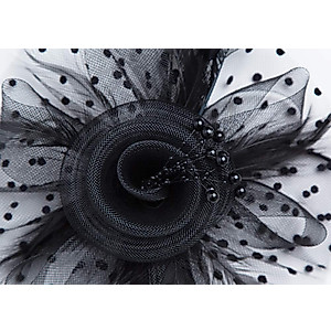 Cizoe Fascinators Hat for Women Tea Party Hat Kentucky Derby Wedding Flower Cocktail Mesh Feathers Headpiece(1-a-Black)