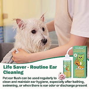 CuteBone Dog Anti-Itch Ear Flush - Cleans &amp; Removes Wax Odor, Deodorizes, Soothes Ear Inflammation for Pet - Easy Ear Wash Care Solution - Ear Cleaner 4 fl.oz &amp; 30 Cotton Swabs Kit