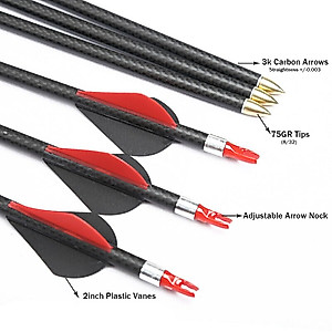 Linkboy Archery 3K Carbon arrow sp250 300 340 400 500 600 2inch plastic vanes bow hunting 6pcs