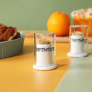 LEETOYI Porcelain Toothpick Holder Dispenser with Glass Lid Set of 2