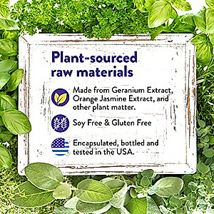 InnovixLabs Full Spectrum Vitamin K2 with MK-7 and MK-4, All-Trans Bioactive K2, 600 mcg K2 per Pill, Soy & Gluten Free, Non-GMO, 90 Capsules, Supports Healthy Bones & Arteries Vitamin K2 MK7 + MK4