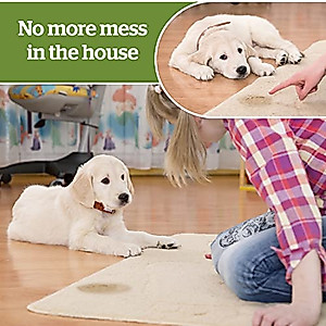 Pogi's Dog Training Pads with Adhesive Sticky Tabs (50-Count) (24x24in) - Large Puppy Pads, Earth-Friendly Dog Pads, Plant-Based Puppy Pee Pads for Dogs - Puppy Supplies for Small to Large Sized Dogs