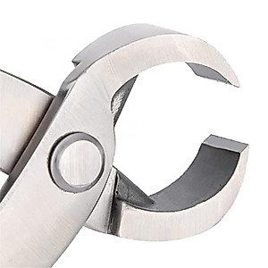 210mm Round Edge Steel Garden Pruning Shears,Thick Branches Cutter Scissors,Bonsai Scissors, Easy to Maneuver,Widely Used for Garden Bonsai Trimming