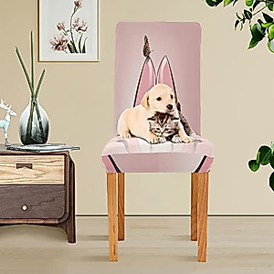 xigua Elegant Pink High Heels Chair Covers Protector 4PCS for Dining Room,Chair Slipcover Washable Removable for Kitchen,Hotel,Restaurant,Wedding