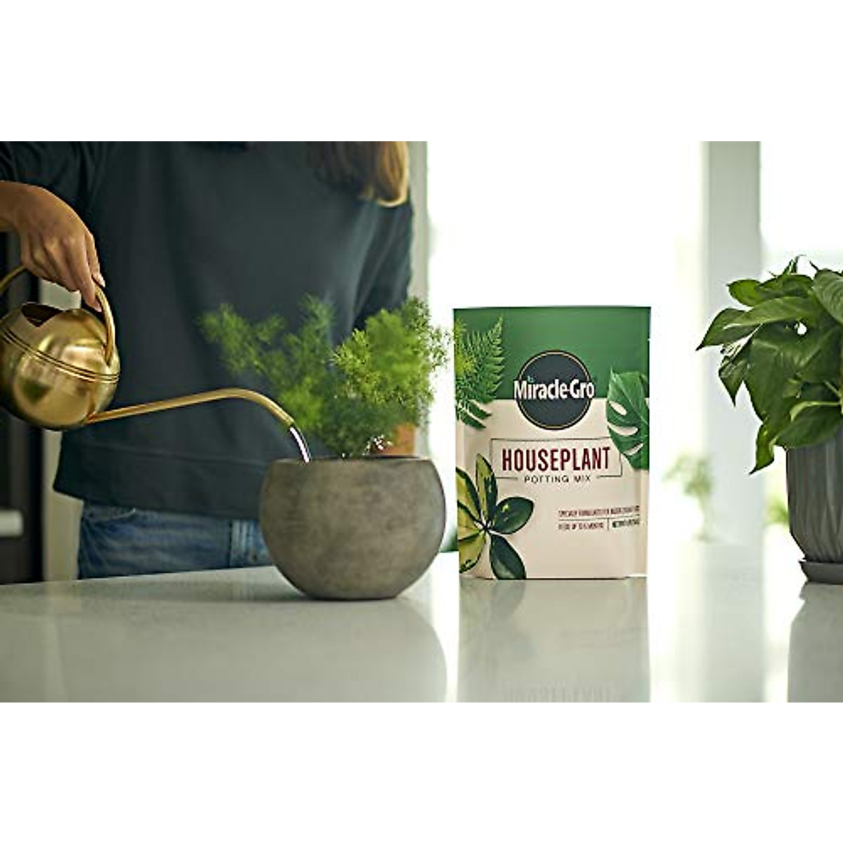 Miracle-Gro Houseplant Potting Mix: Fertilized, Perlite Soil for Indoor Gardening, Designed to Be Less Prone to Gnats, 4 qt.