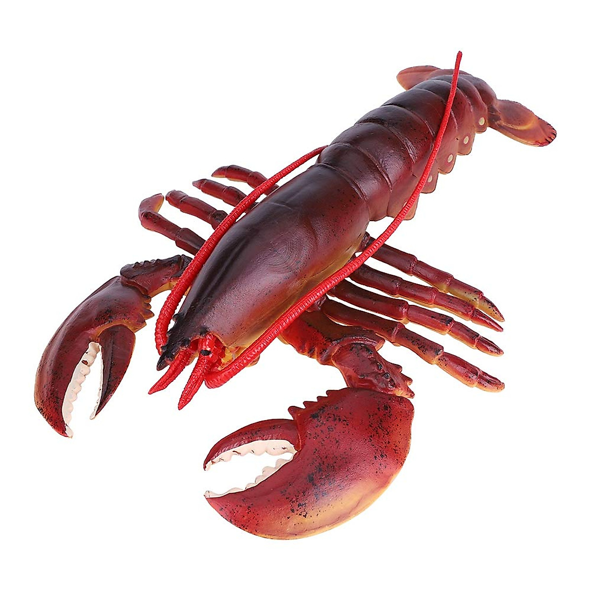 GLOGLOW Lobster Model, Artificial Lobster Seafood Model Simulation Lobster Model Plastic Lobster Decorations for Home Party Decoration Display Kids Toy(Dark-Australian Lobster, 9 in)