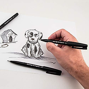 Pentel Arts Sign Pen Brush, Black Pigment Ink, 1 Pack (SESP15BPA)
