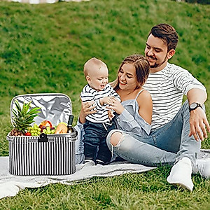 HappyPicnic Cooler Tote Bag 26L, Collapsible Picnic Basket Cooler with Aluminium Handle for Food, Shopping Grocery, Work or Outdoor Hiking Men Woman