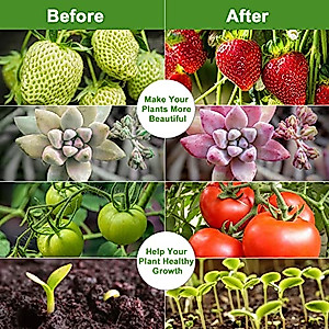 Grow Light for Indoor Plants, SUWITU 6000k Full Spectrum Plant Light, Clip-on Led Grow Lights, Plant Grow Light for Succulents Small Plants, Auto On/Off Timing, 1 Head 3 Lighting Modes & 10 Dimming