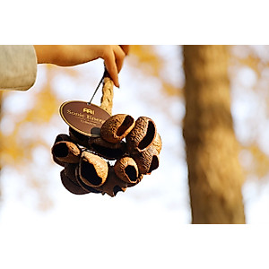 Meinl Sonic Energy Seed Shell Shaker Percussion Instrument — Nature Sounds for Meditation, ASMR, Sound Therapy, Yoga