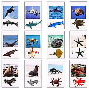 12 pcs Ocean Sea Animal Figures with 12pcs Matching Cards - OOTSR Ocean Creatures with Flash Cards for Education, Insect Themed Party, Playtime and Treasure Hunt