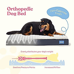 Orthopedic Large Dog Bed - Ultra Comfortable Dog Bed for Large Dogs Small, Medium, Large and Extra-Large Dogs/Cats with Sherpa top - Breathable Pet Bed - Egg Foam Sofa Bed - Removable Washable Cover.