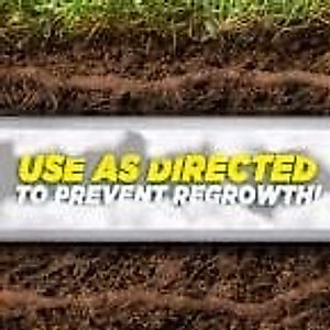 FOAMING Root Killer | 10 Pound| Kills Tree Roots in Pipes & Sewer Lines | Contains No Copper Sulfate