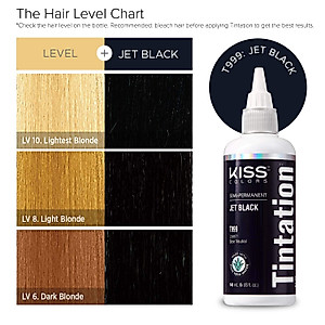 Kiss Tintation Semi-Permanent Hair Color 5 Ounce (Jet Black (2 Pack))