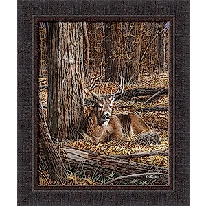 Bedding Down by Kevin Daniel 20x24 Whitetail Deer Buck Forest Gift For Hunter Framed Art Print Picture