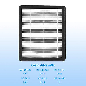 IAF-H-100B True HEPA Idylis B Replacement Filter, Compatible with Idylis Air Purifiers IAP-10-150, IAP-10-125, AC-2125, AC-2126, IAP-10-050, IAPC-40-140, 2 HEPA + 2 Carbon pre-filters