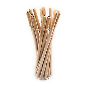EcoAmiga Bamboo Straw, 8 Inch Reusable & Biodegradable Organic Bulk Straws – Great Ecological Alternative to Plastic Straws (Bamboo)