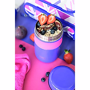 Built Double Wall Vacuum Insulated Flask for Hot and Cold Foods, 490 ml, Purple