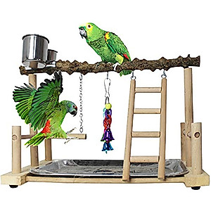 PINVNBY Bird Playground Birdcage Playstand Pet Bird Perch Platform Stand Parrot Play Gym Parakeet Cage Decor Budgie Perch Stand with Feeder Seed Cups Ladder Chew Toys for Small Animals Parrot Parakeet