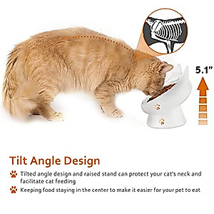 Cat Bowls, Ceramic Cat Food and Water Bowl Set Anti Vomiting, Tilted Elevated Bowls for Cat, Small Dogs, Protect Pet's Spine, Dishwasher and Microwave Safe,2 Pack
