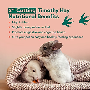 Andy by Anderson Hay Timothy Hay, 15 lbs, Premium Rabbit Food for Balanced Nutrition