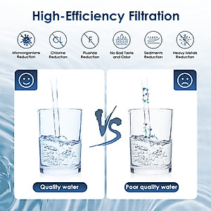 Water Filter Replacement & Primer Hand-Powered Filter Primer Pump For Activated Carbon Water Filter Pack of 2, Compatible with Berkey Big, Light, Imperial, Travel Series