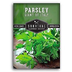 Survival Garden Seeds - Giant of Italy Parsley Seed for Planting - Packet with Instructions to Plant and Grow Italian Flat Leaf Parsley Herbs in Your Home Vegetable Garden - Non-GMO Heirloom Variety