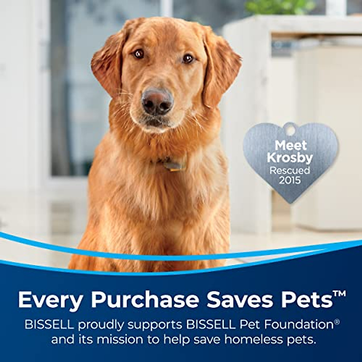 BISSELL ProHeat 2X Revolution Pet Pro Plus, 3588F, Upright Deep Cleaner