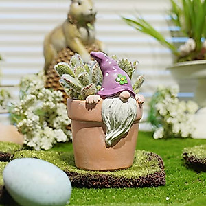 Newman House Studio Spring-Gnomes Flower-Pots Easter Decorations Cactus-Succulents - Easter Decorative Purple Planter Pots Unique Garden Pots with Drainage Hole for Indoor Outdoor 3 x 3.5 x 5 inch
