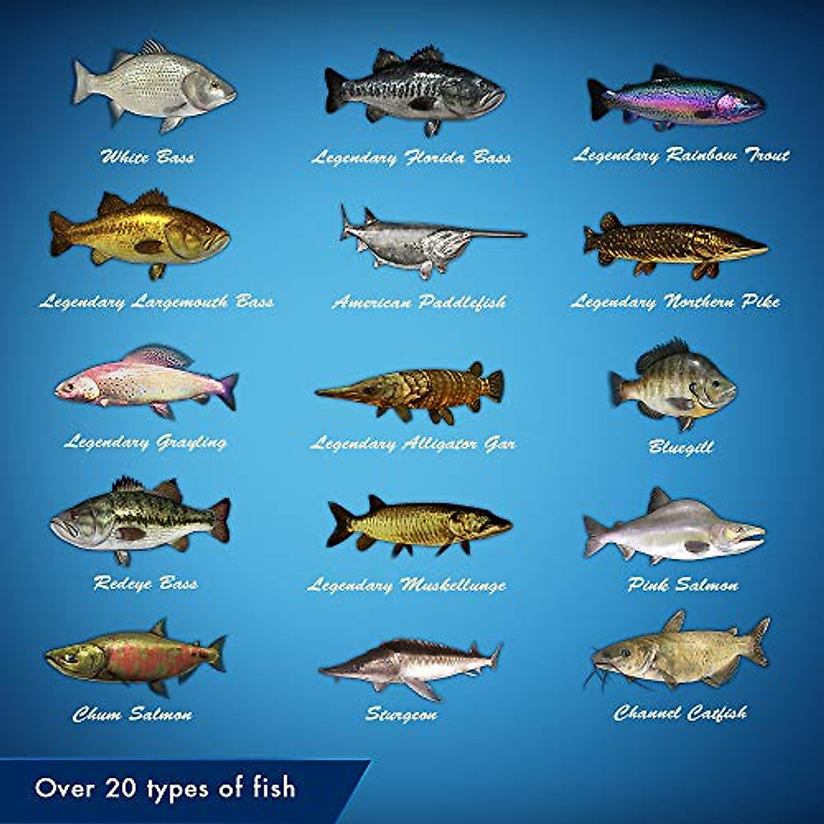 Legendary Fishing - Nintendo Switch Standard Edition