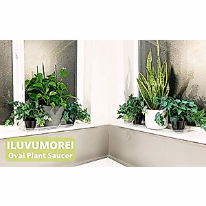 ILUVUMOREI Oval 2 Pack of 18 by 6.5 Inches Clear Plant Saucer, Thicker, Durable Flower Pot Planter for Indoors or Outdoors, Window Sills and Shelves (2 Pack - 18")