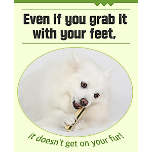 Doctor By MegaChitoChew - Dog Dental Chew - Dog Bully Sticks for Large Dogs and Medium Dogs, 7 Sticks, 6 inches, Odor Free Bully Sticks for Dogs, Cleans Teeth and Control Plaque