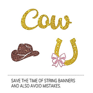 Little Cowgirl Banner - Western Cowboy One 1st Birthday Banner for Little Girl Gender Reveal Welcome Baby Girl Birthday Party Decorations