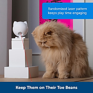 PetSafe Dancing Dot - Automatic Cat Laser Toy - Interactive - Relieves Anxiety & Boredom - Bug-Like Laser Pattern - Hands-Free Play - Hang from Doorknob or Set on Elevated Surface - Play-All-Day Mode