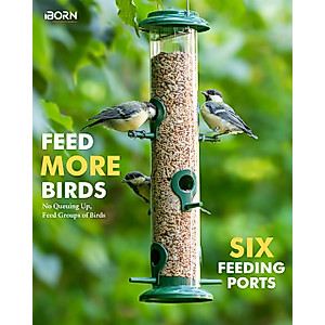 iBorn Metal Bird Feeders 6 Ports Hanging Wild Bird Seed Feeder for Mix Seed Blends, Niger Seed Feeder, Sunflower Heart, Birdbath, Heavy Duty All Metal Green Finishing 14 Inch 6Port