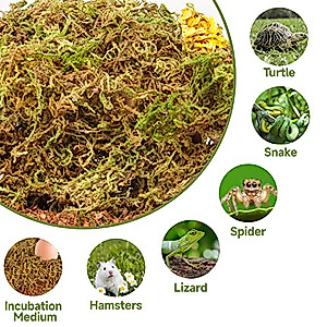 LUVCOSY Reptile Coconut Fiber Substrate & Forest Moss Combo Clean Bedding Accessories for Bearded Dragon/Snake/Lizard/Gecko/Tortoise, Tarantula Terrarium Tank Humidity Control and Odor Absorbent