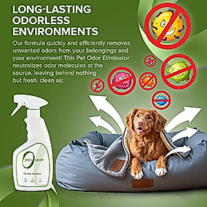 Zero Odor - Pet Odor Eliminator - Permanently Eliminate Air & Surface Odors – Patented Molecular Technology Best For Carpet, Furniture, Pet Beds - Smell Great Again (Over 400 Sprays Per Bottle)