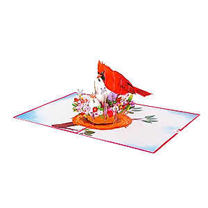 PQ Bees Pop Up Birthday Card for Women Mom Grandma Wife | 3D Mothers Day Valentines Day Christmas Card for Women Aunt Sister Wife, Friend Birthday Cards (Size 8x6 In - Cardinal Nest).