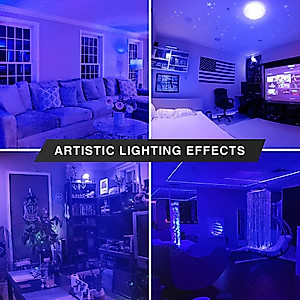 2 Pack BlueX LED A21 Blue Light Bulbs - 15W (120Watt Equivalent) - E26 Base Blue LED Blue Bulb, Party Decoration, Porch, Home Lighting, Holiday Lighting, Decorative Illumination Blue LED Bulb