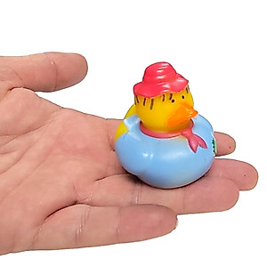 Cool Holiday Fall Autum Thanksgiving Rubber Ducks (2") Standard Size. (12 Pack) Cute Duck Bath Tub Pool Toys. (Scarecrow Rubber Ducks)