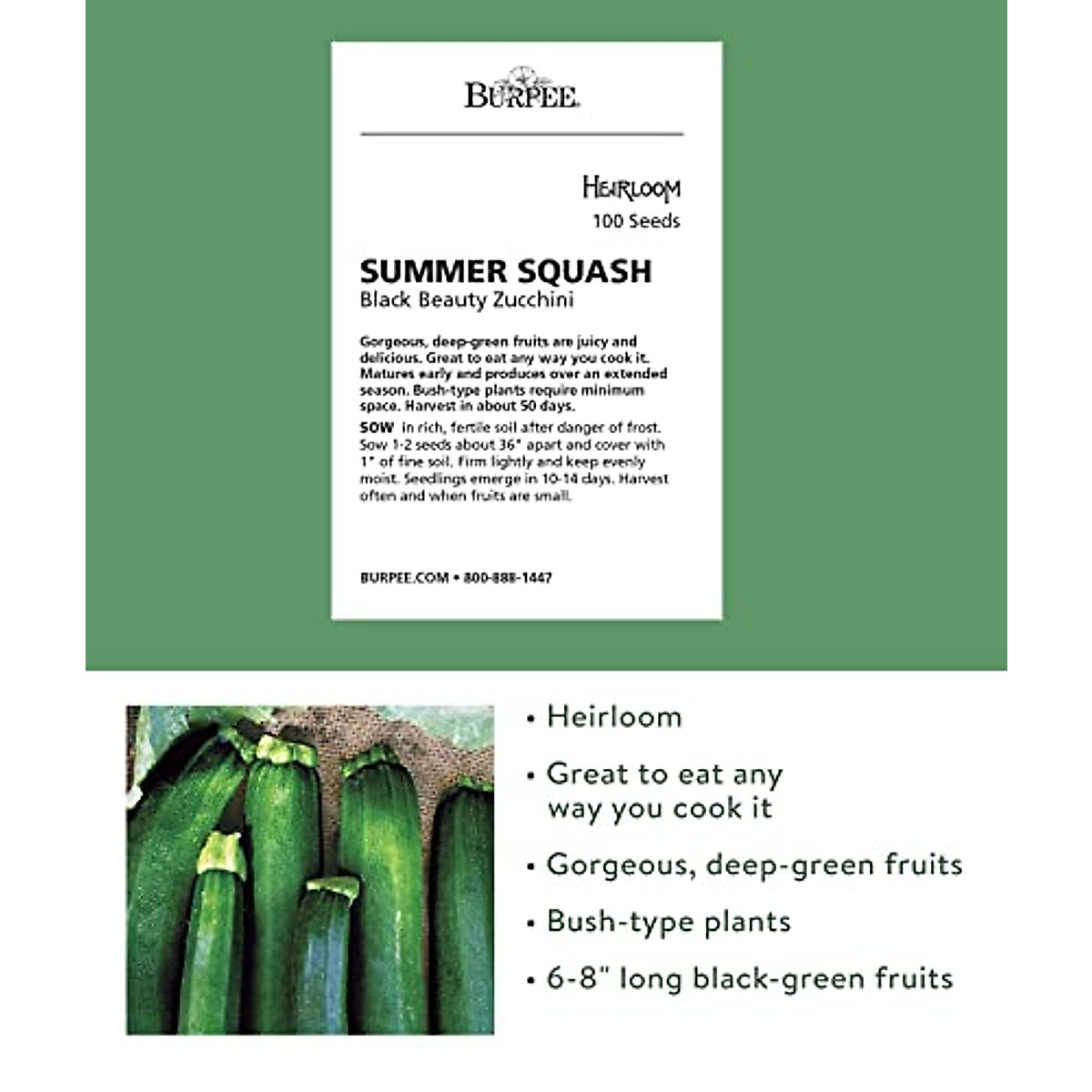 Burpee Black Beauty Zucchini Summer Squash Seeds 100 seeds