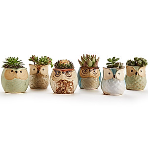 SUN-E SE Owl Pot Ceramic Flowing Glaze Base Serial Set Succulent Plant Pot Cactus Plant Pot Flower Pot Container Planter with Drainage Hole Home Office Desk Garden Gift Idea 6pcs 2.5 Inch