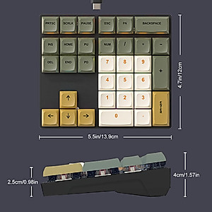 LINKEET Mechanical Numpad Rainbow Backlit Clicky Blue Switches Wired USB Number Pad 33-Key NKRO Numeric Keypad with XDA PBT Keycaps External Keyboard Num Pad for Laptop, Mac - Brown Grey