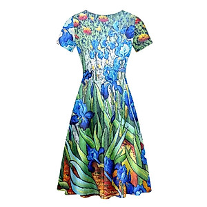 POLERO Van Gogh Irises Dress for Women Oil Painting Print Dress for Casual Summer Short Sleeved Dresses Size XL
