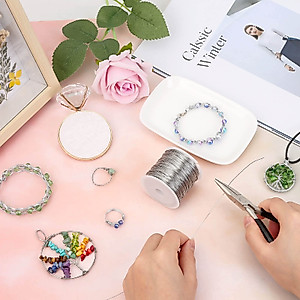 cridoz 22 Gauge Stainless Steel Wire for Jewelry Making, Bailing Wire Snare Wire Wrapping for Craft and Jewelry Making