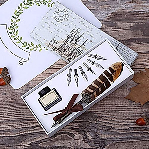 Quill Dip Pen, European Retro Feather Dip Pen Set 5 Replaceable Nibs Calligraphy Writing Pen