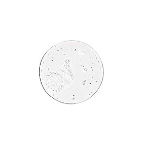 Sun Bum Coconut Argan Oil | Vegan and Cruelty Free Protecting and Strengthening Oil for All Hair Types | 3 oz