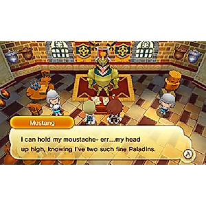 Fantasy Life (Nintendo 3DS)