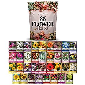 Flower Seeds Packets for Planting 35 Individual Varieties Perennial, Annual, Wildflower Seeds for Planting Outdoors for Bees and Butterflies - Semillas de Flores Hermosas by Gardeners Basics.