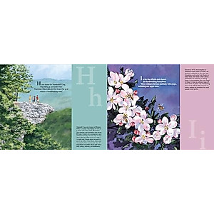 N Is for Natural State: An Arkansas Alphabet (Discover America State by State)